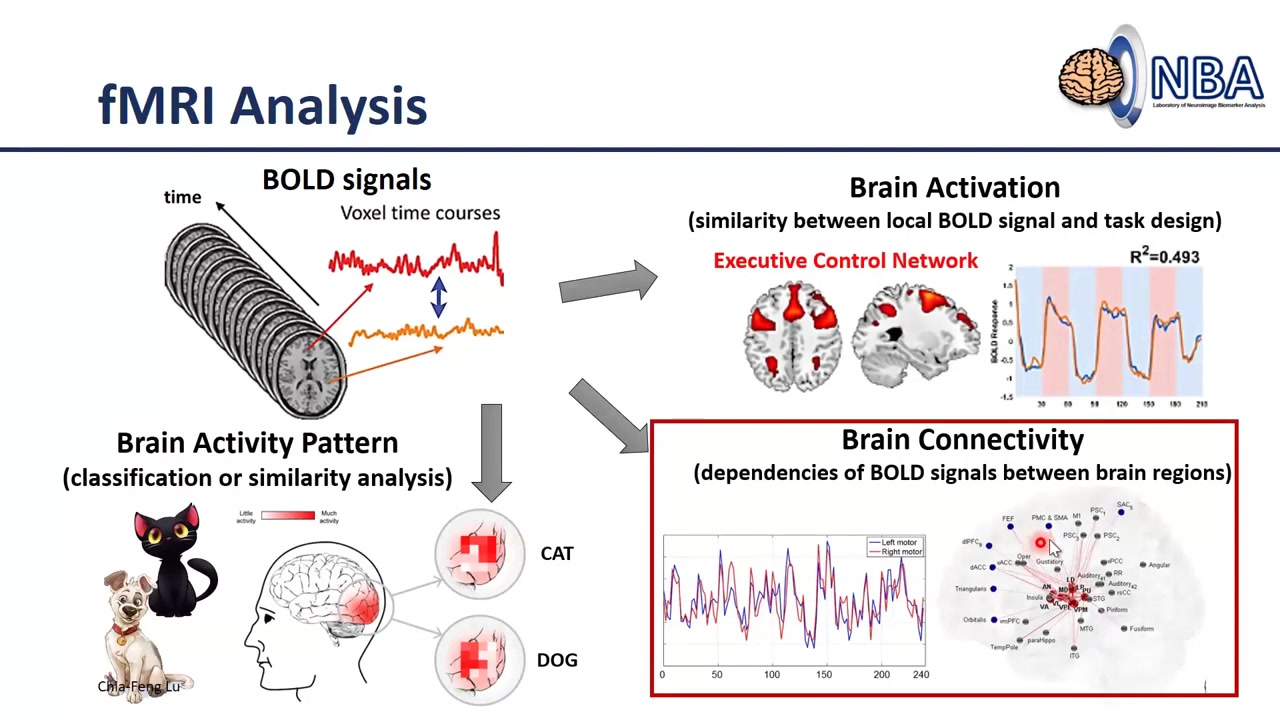 【官方授权】【fMRI Analysis】20-[Lesson12-session1]Dynamic Causal Modeling of ...