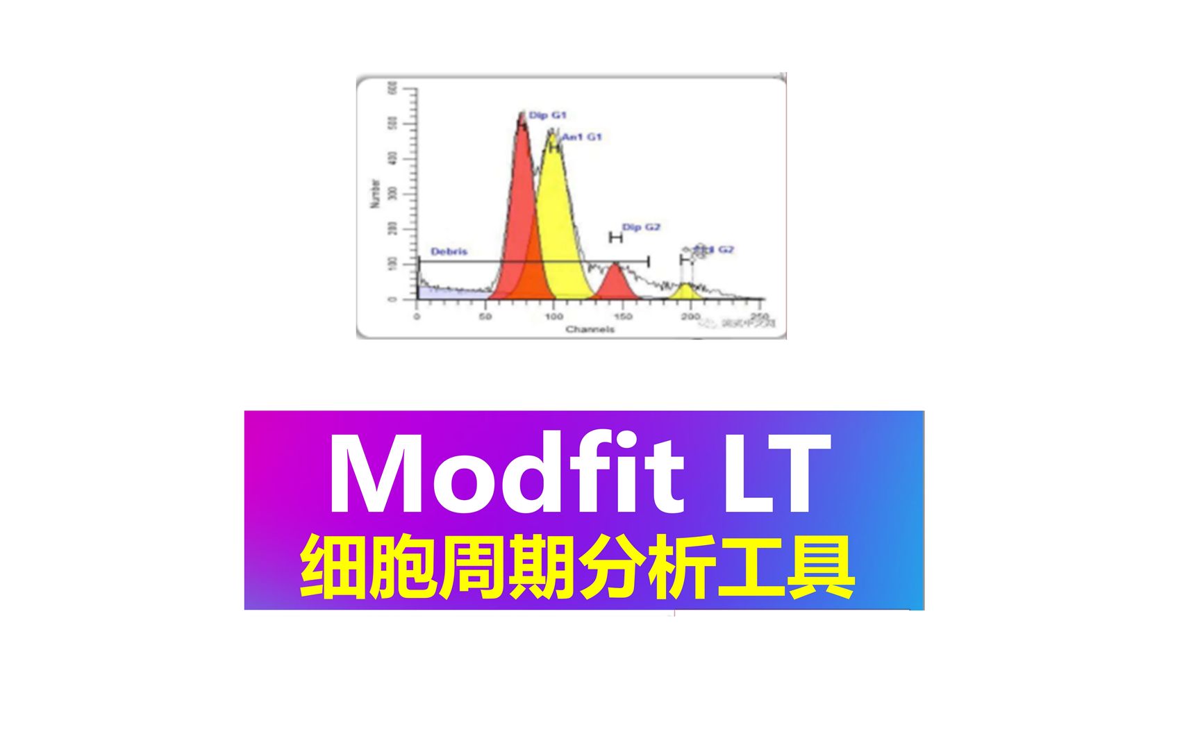 ModFitLT 5 细胞周期分析 安装包永久版下载,叫你零基础明白-bili_67029311712-bili_67029311712-哔哩哔哩视频