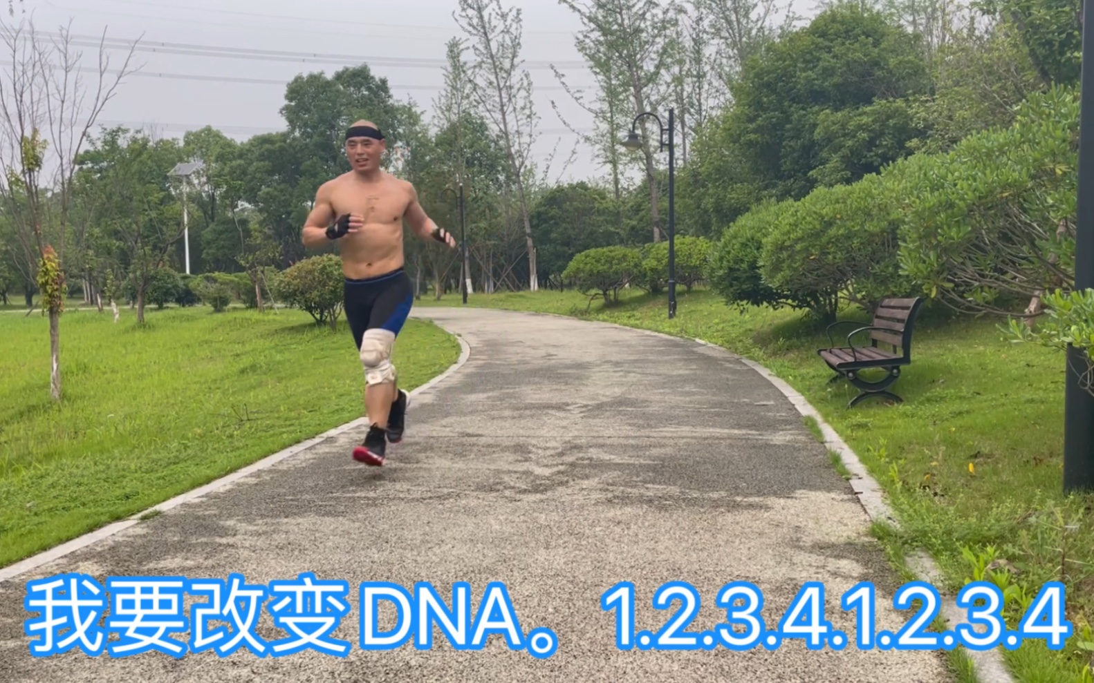 跑步运动改变dna 外公中风致残致死,我妈也中风致残,我尝试用大量的跑步、 哔哩哔哩