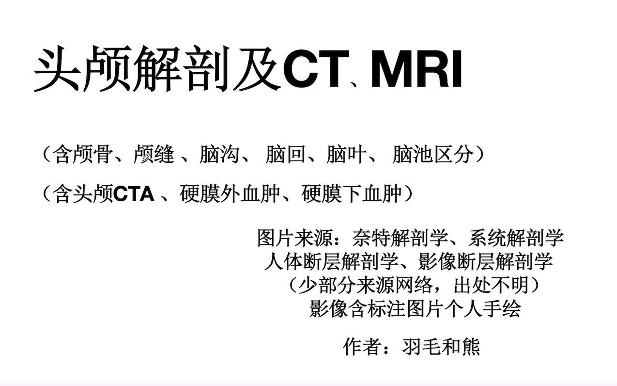 详细分解头颅解剖及CT/MRI(脑沟/脑回/脑叶上篇) - 哔哩哔哩