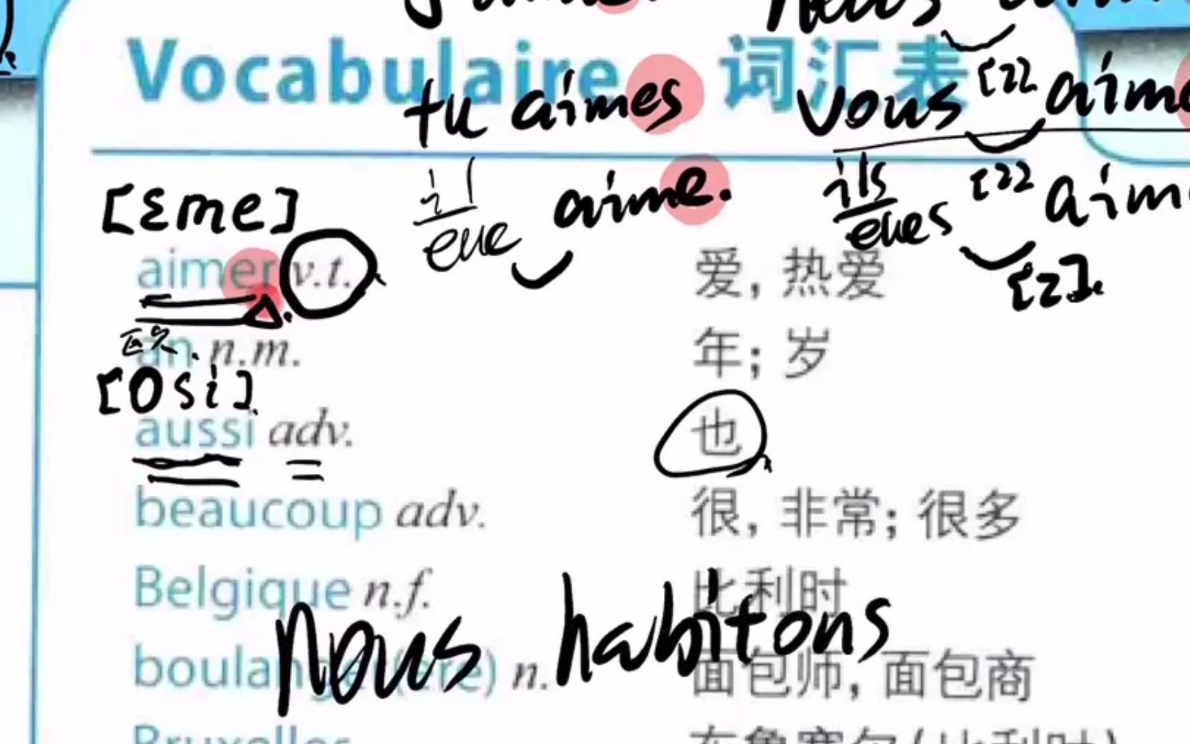 1071.【A1】高频基础副词Aussi用法：重读人代+Aussi【法语语法】【 - 哔哩哔哩