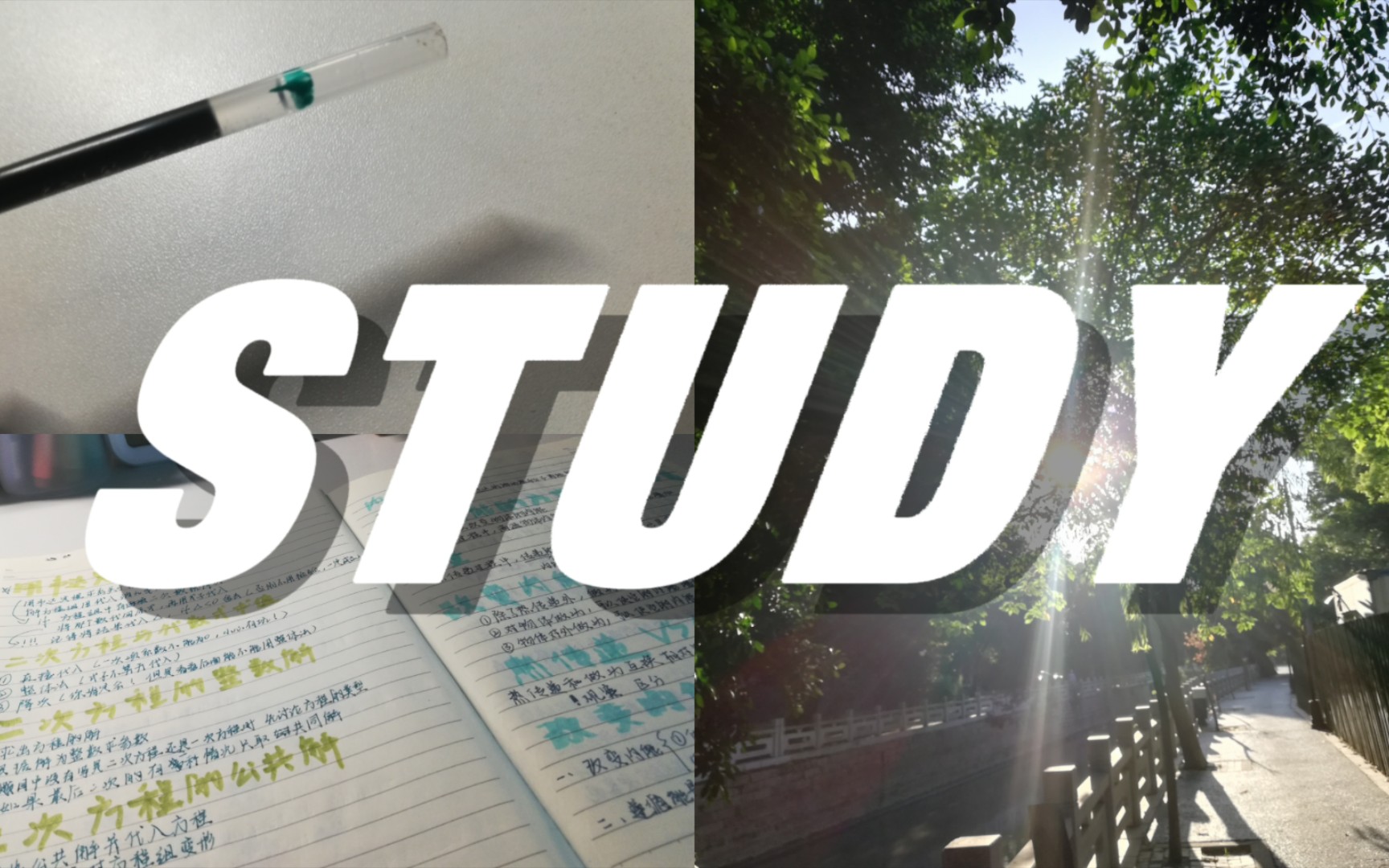 【study with me】合集|韩国法学院女生里约rewoo|法学院阅览室/准备期末考试多场景学习陪伴|白噪音自习