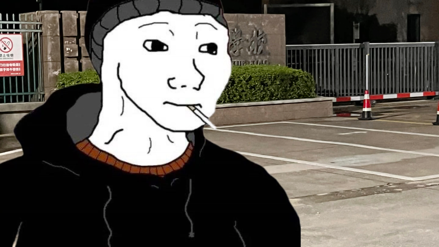 【doomer】初三生，但不过像是无病呻吟罢了…… - 哔哩哔哩