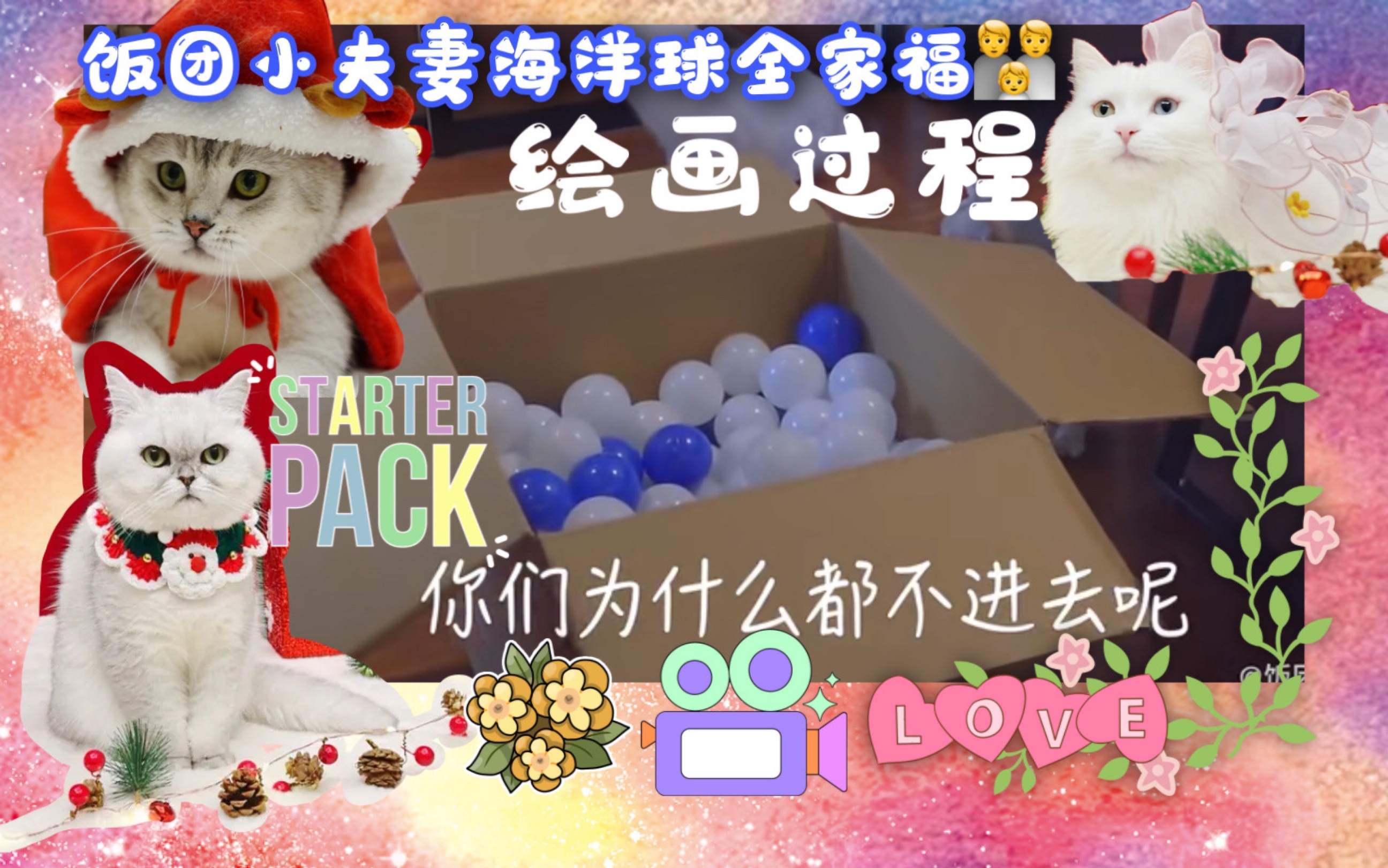 【Kittisaurus】猫咪VS海洋球