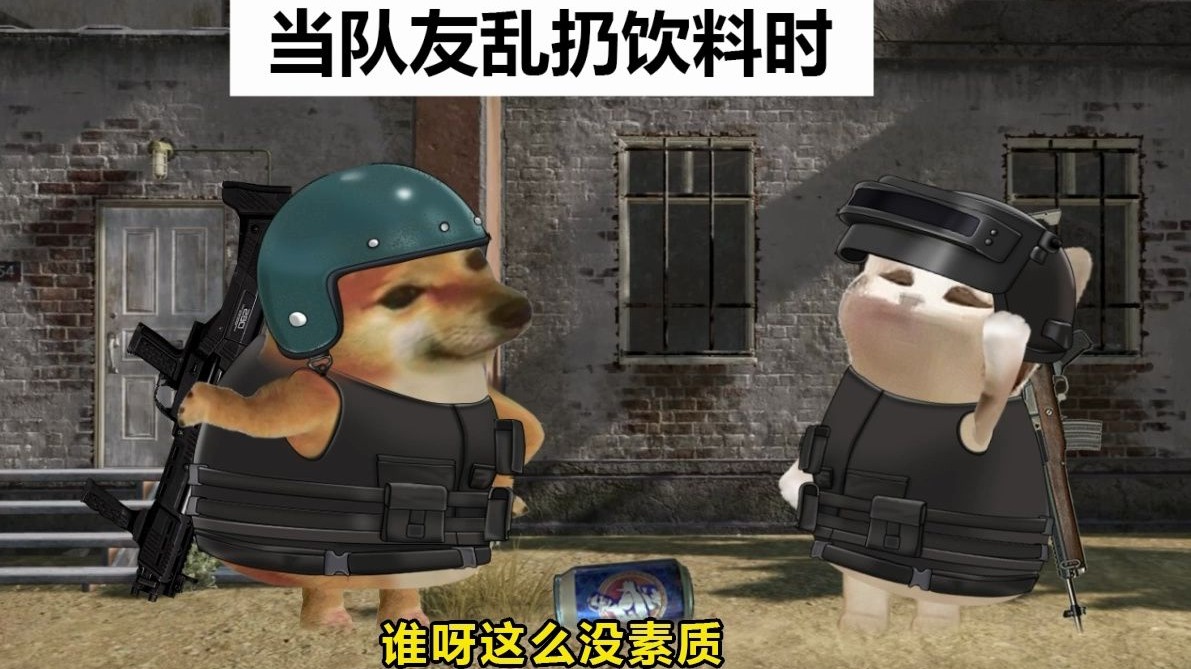 疼不疼啊-Cheems降临-Cheems降临-哔哩哔哩视频