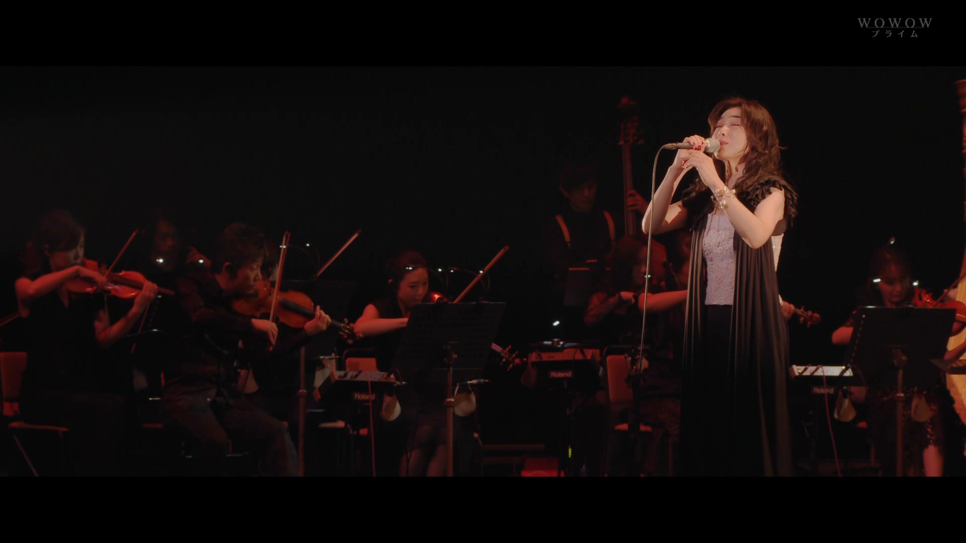 blue rain_哔哩哔哩_bilibili