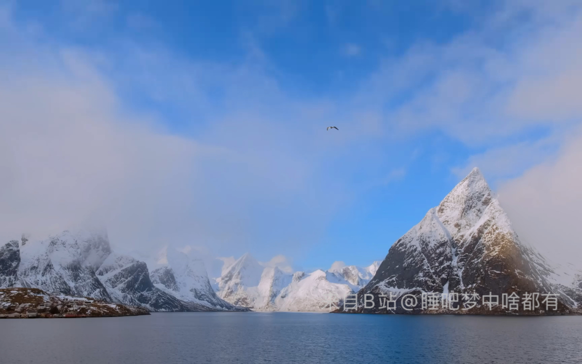 xbn_哔哩哔哩_bilibili