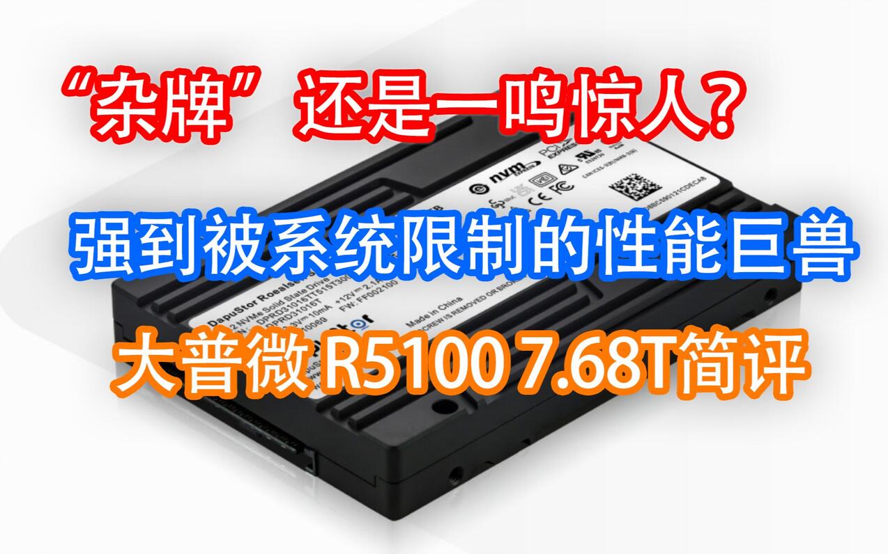固态硬盘中的EVA，真正的性能怪兽——大普微R5100 7.68T简评 - 哔哩哔哩