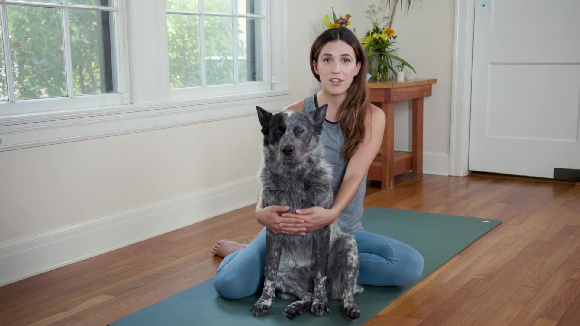 Yoga For Low Back and Hamstrings Yoga With Adriene_哔哩哔哩_bilibili