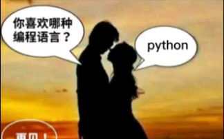 程序员Python是最好的语言！_哔哩哔哩_bilibili