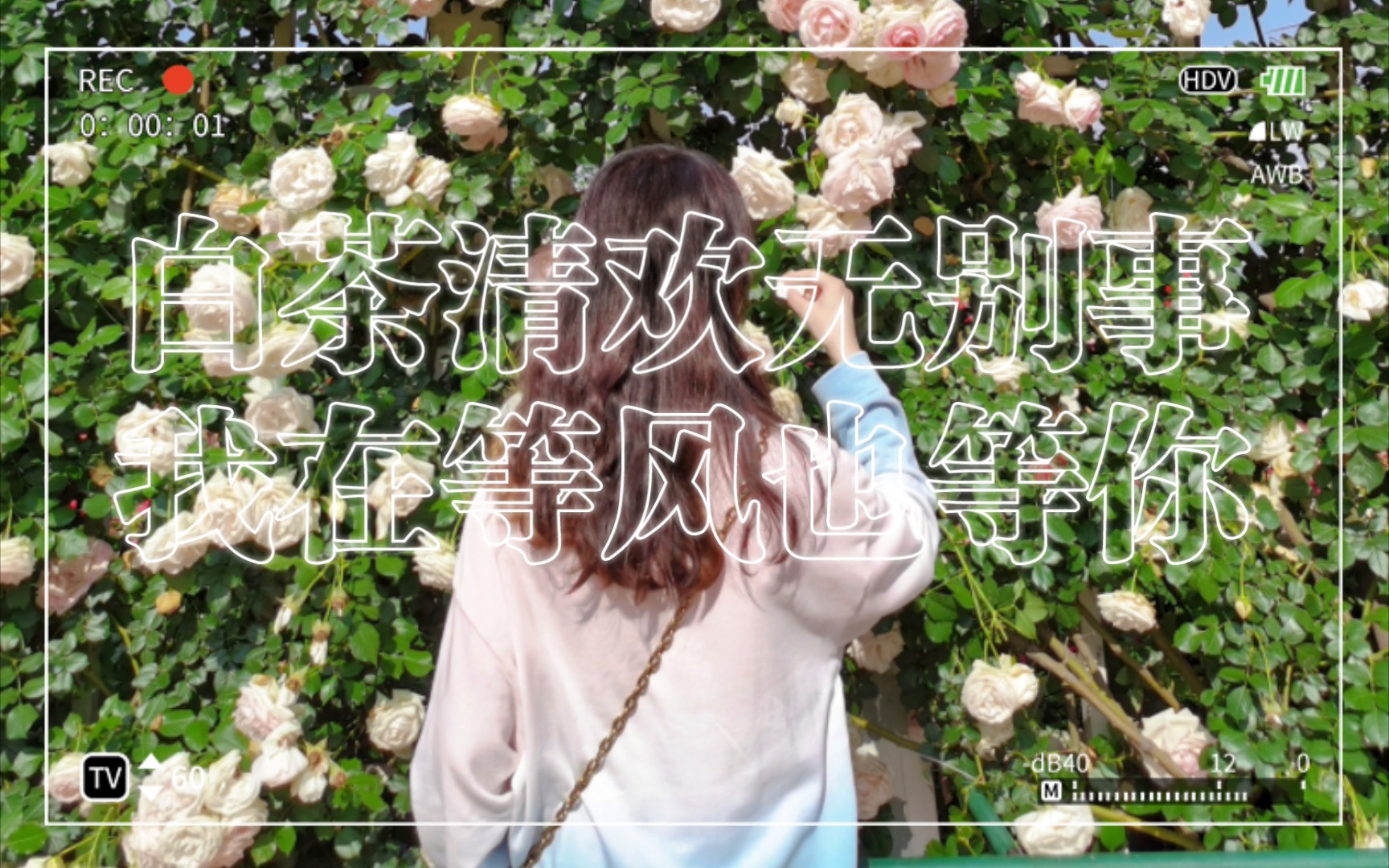 【陈果】 白茶清欢无别事,我在等风也等你” 哔哩哔哩