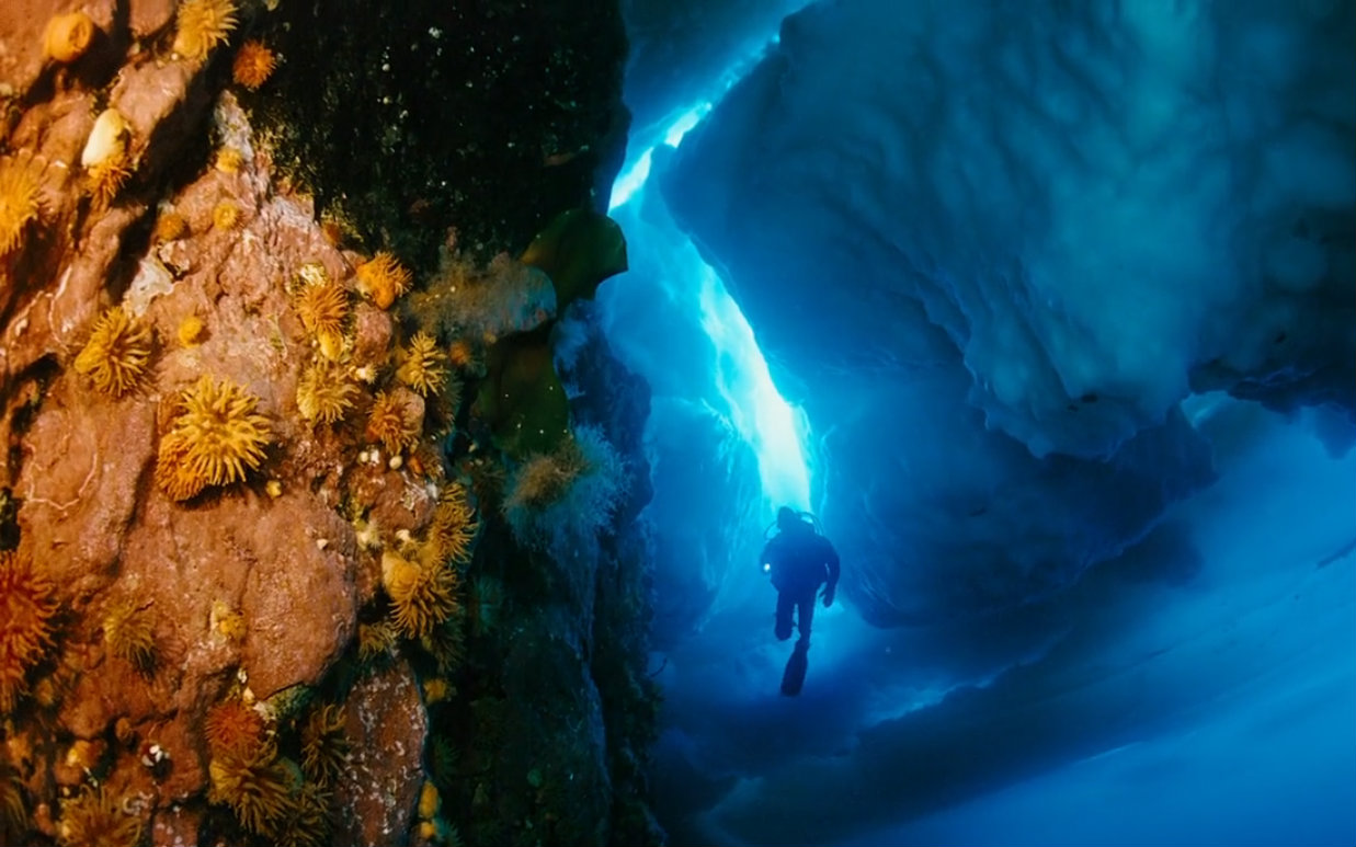 【PBS】极限洞穴潜水 Extreme Cave Diving_哔哩哔哩 (゜-゜)つロ 干杯~-bilibili