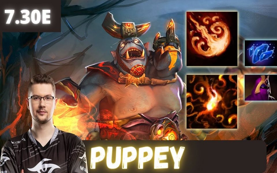 Puppey&5号位蓝胖 - dota2第一视角【Watch&Learn】_哔哩哔哩bilibili_DOTA2