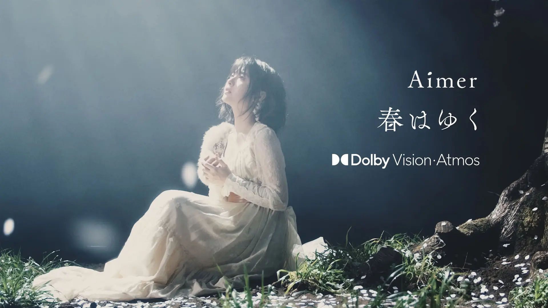 杜比全景声 + HIRES｜Aimer - 春はゆく「春逝」Official Music Video_哔哩哔哩_bilibili