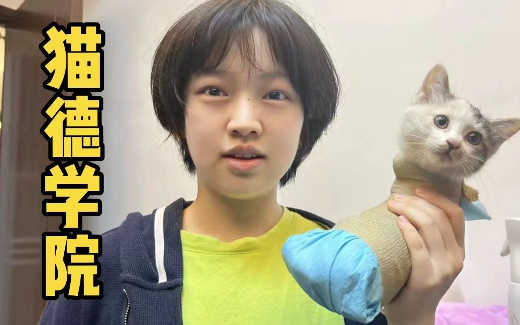 揭秘猫德学院!! 哔哩哔哩