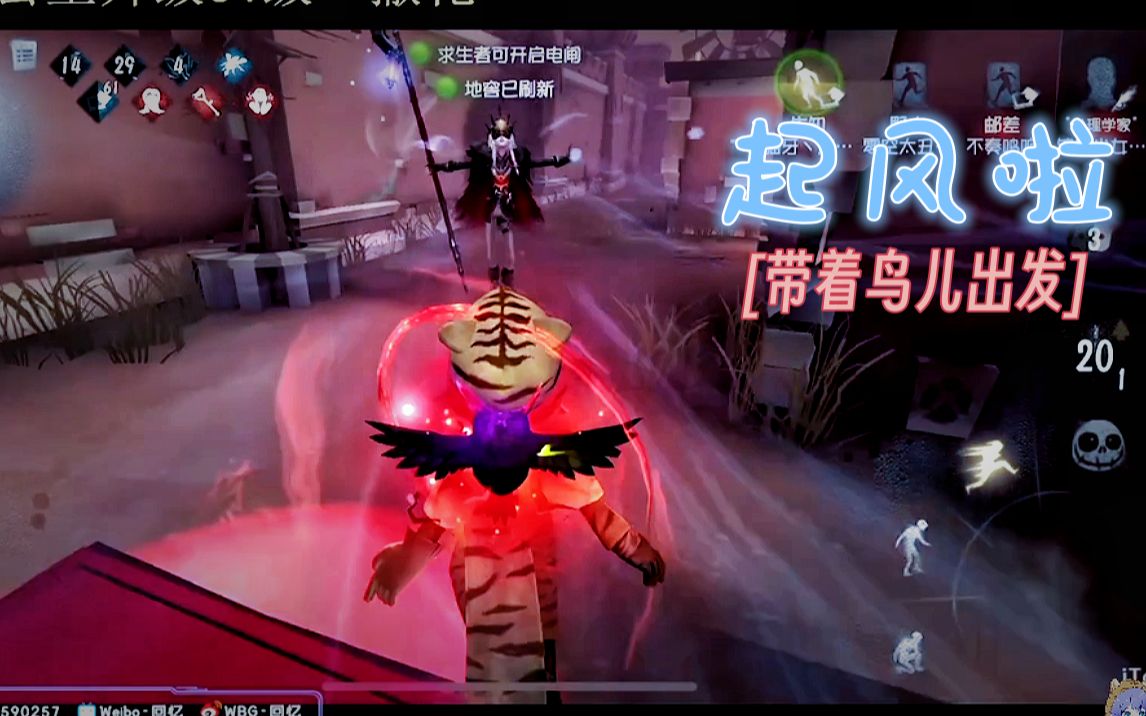 给屠屠一点小老虎震撼-Weibo-回忆-Weibo-回忆-哔哩哔哩视频