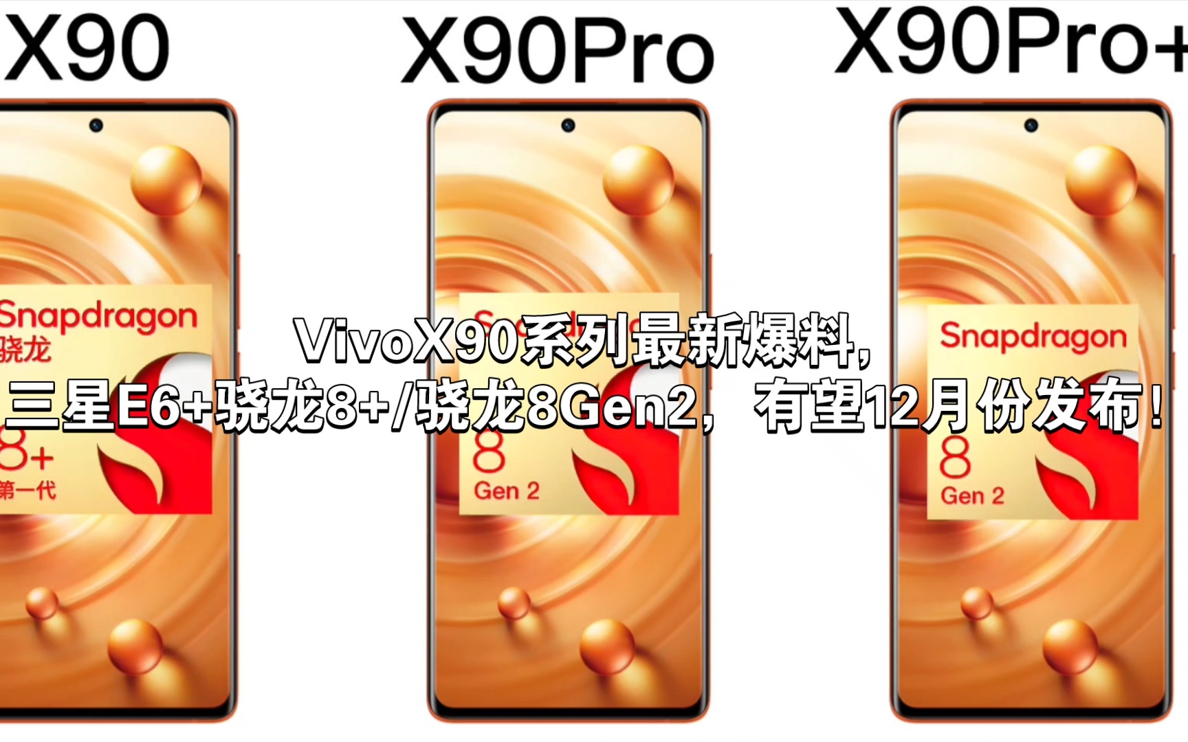 VivoX90系列最新爆料，三星E6+骁龙8+/骁龙8Gen2，有望12月份发布 - 哔哩哔哩
