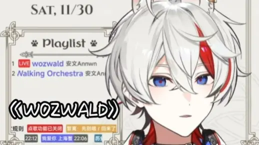 【安文Annwn】241130《ヲズワルド (WOZWALD)》(好耶~)_哔哩哔哩_bilibili