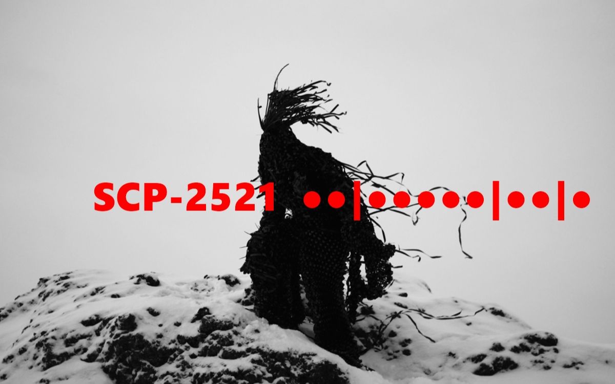 SCP-2521 - | | | -星星胖头鱼-星星胖头鱼-哔哩哔哩视频