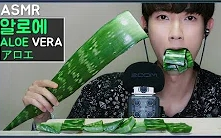 【JaeYeol ASMR】嚼芦荟叶子_哔哩哔哩_bilibili
