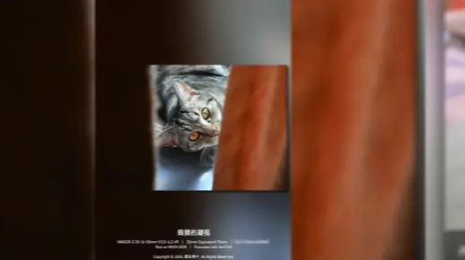 到我了到我了，提机の小曲！尼康z502上手！_哔哩哔哩_bilibili