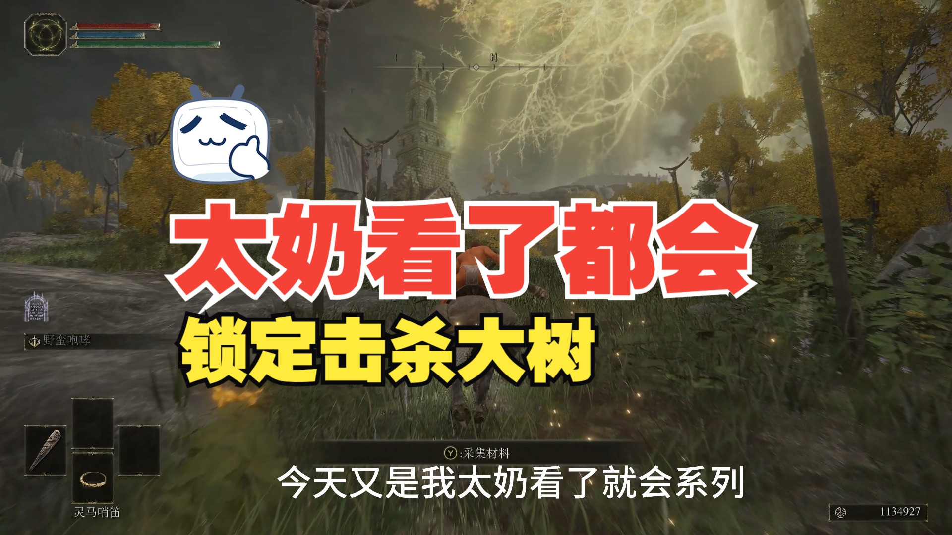 【陈sir-解说】1级0强化 禁翻滚/战技/异常 锁定大树-陈sir的太奶-陈sir的太奶-哔哩哔哩视频