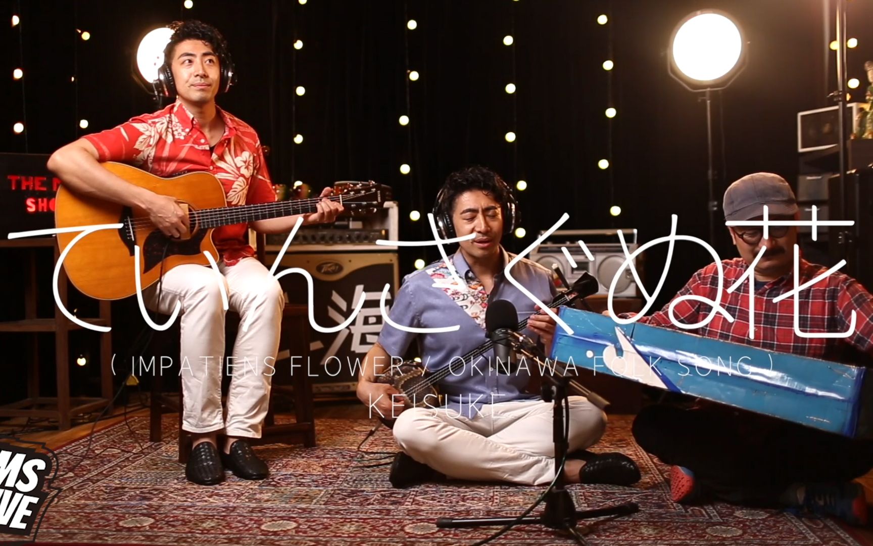 [TMS Live Shanghai ] Keisuke - Impatiens Flower (Alt Version)_哔哩哔哩_bilibili