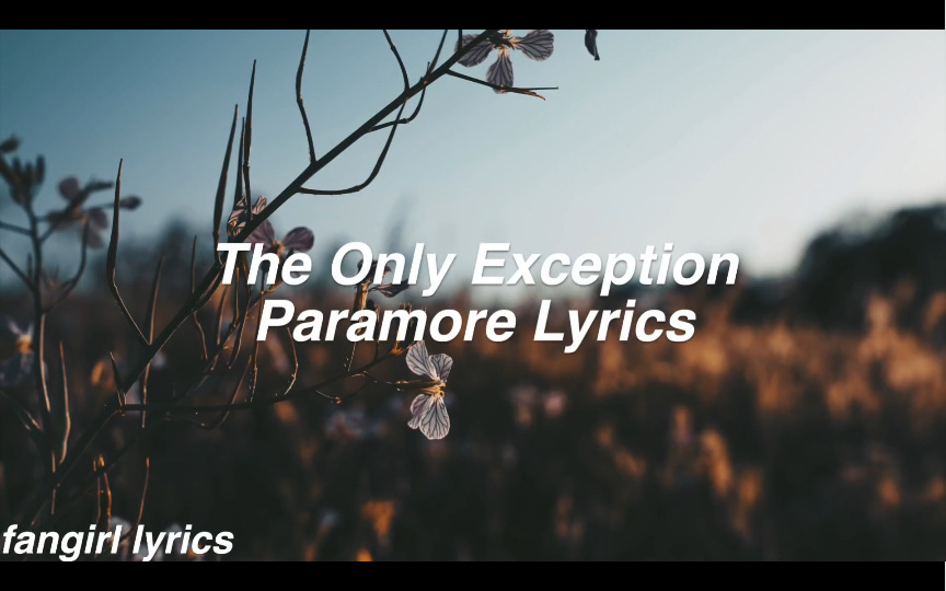 The only exception || Paramore Lyrics_哔哩哔哩_bilibili