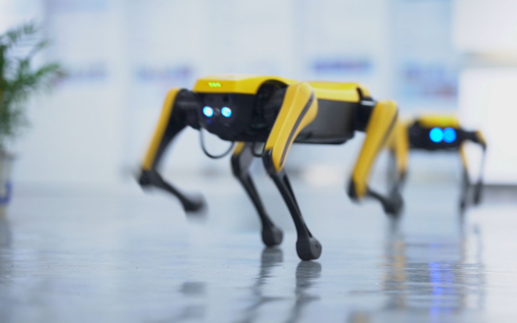 《以专业之名》-Robot robot！_哔哩哔哩_bilibili