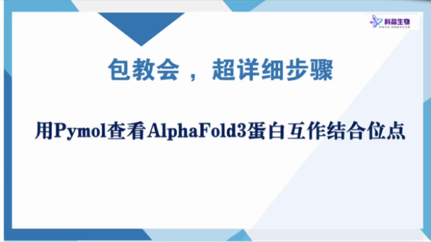 包教会！Pymol查看AlphaFold3蛋白互作结合位点！超详细步骤！ - 哔哩哔哩