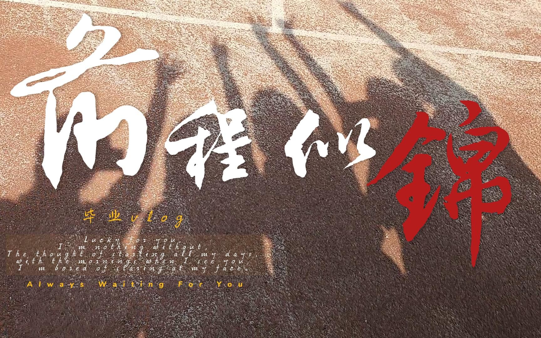 ssni - 资源合集 - 小不点搜索