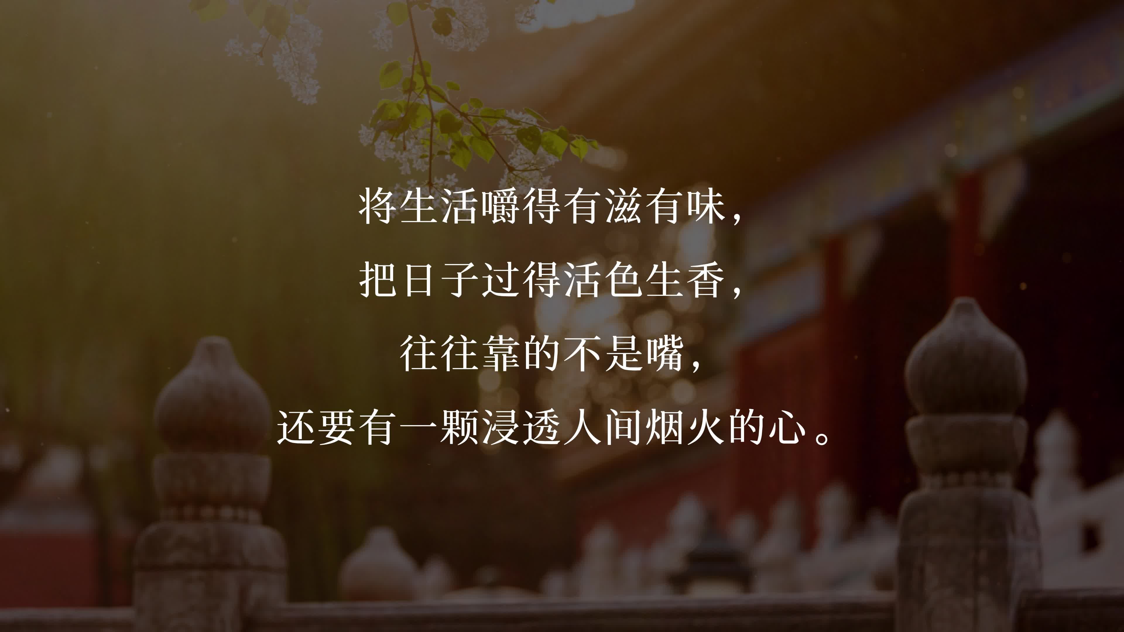 【满分素材】央视《你好,生活》温暖干净的诗意文案,人生只有两件事需要选择 哔哩哔哩