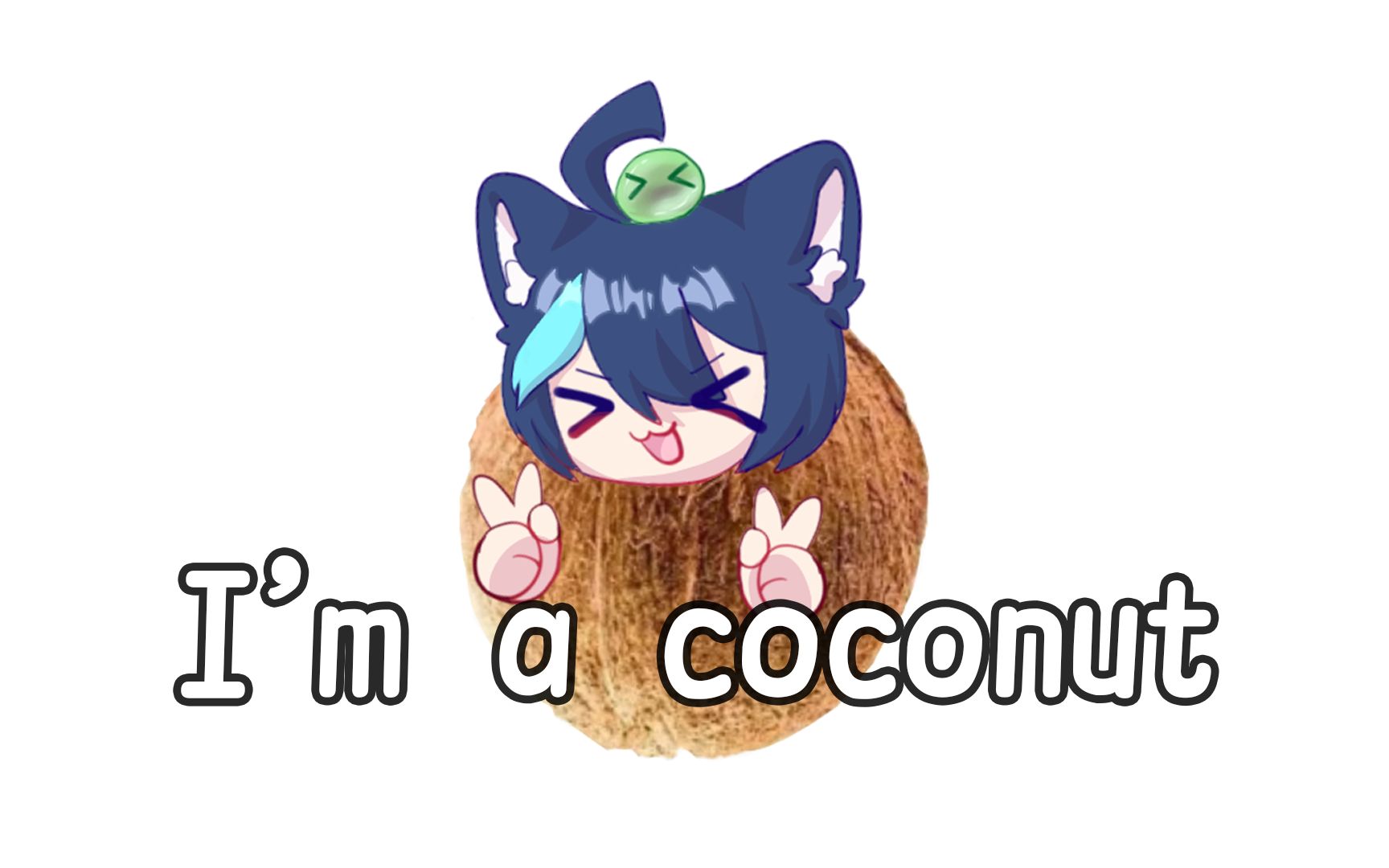 姆可：I'm a coconut-姆可berry-姆可berry-哔哩哔哩视频