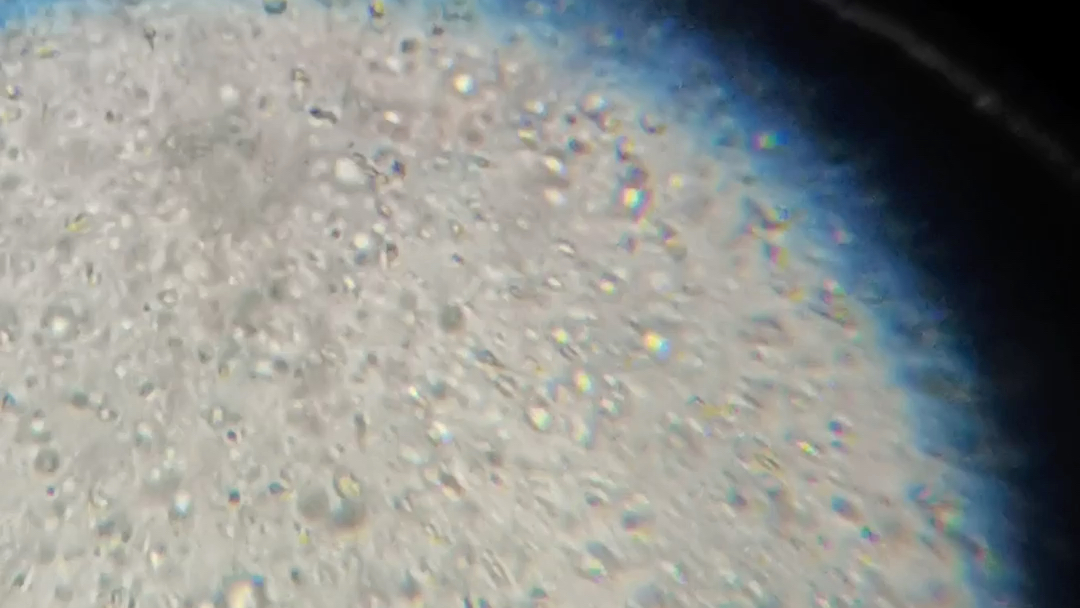 光学显微镜观察精子 #2_哔哩哔哩_bilibili