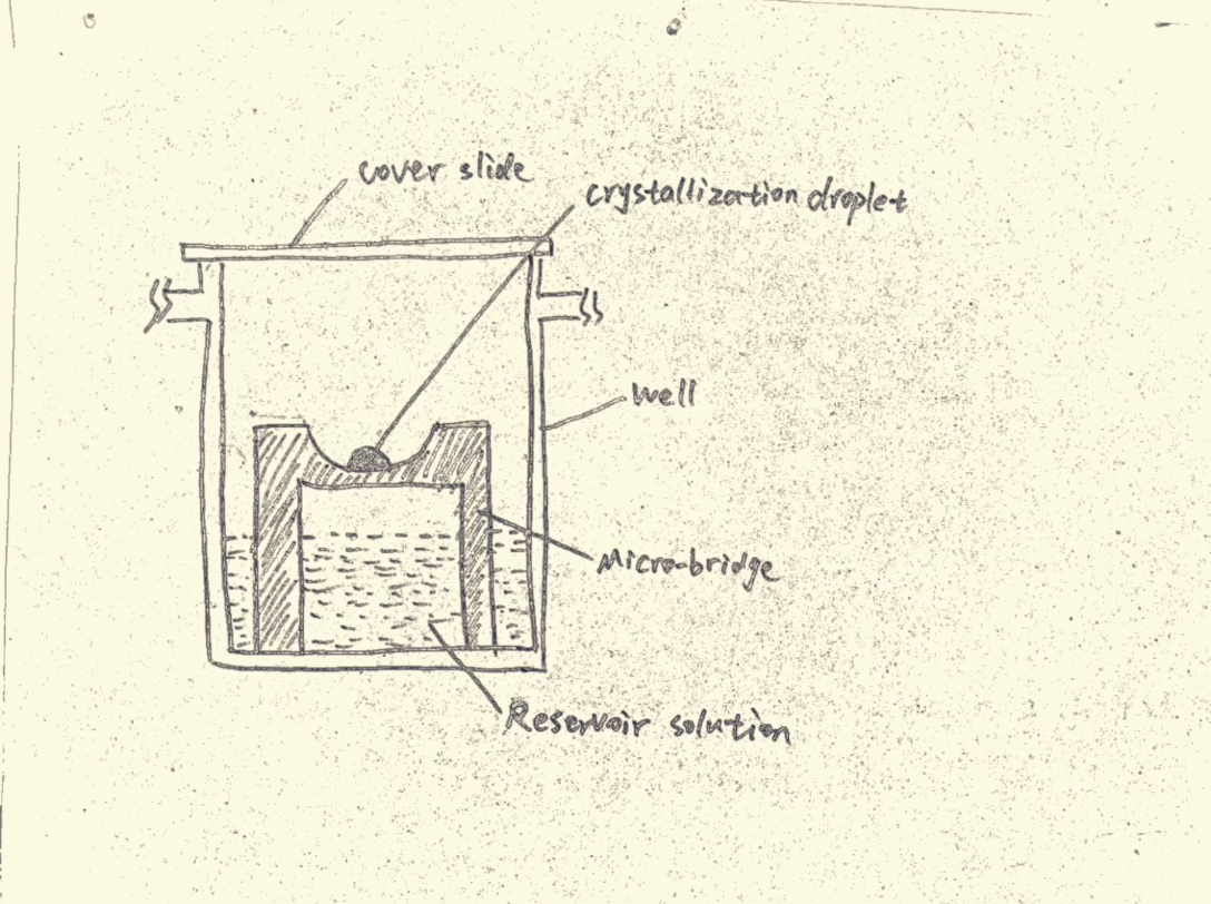 坐滴法和悬滴法 Sitting-drop and hanging-drop vapor diffusion method（蛋白质结晶）_哔哩哔 ...