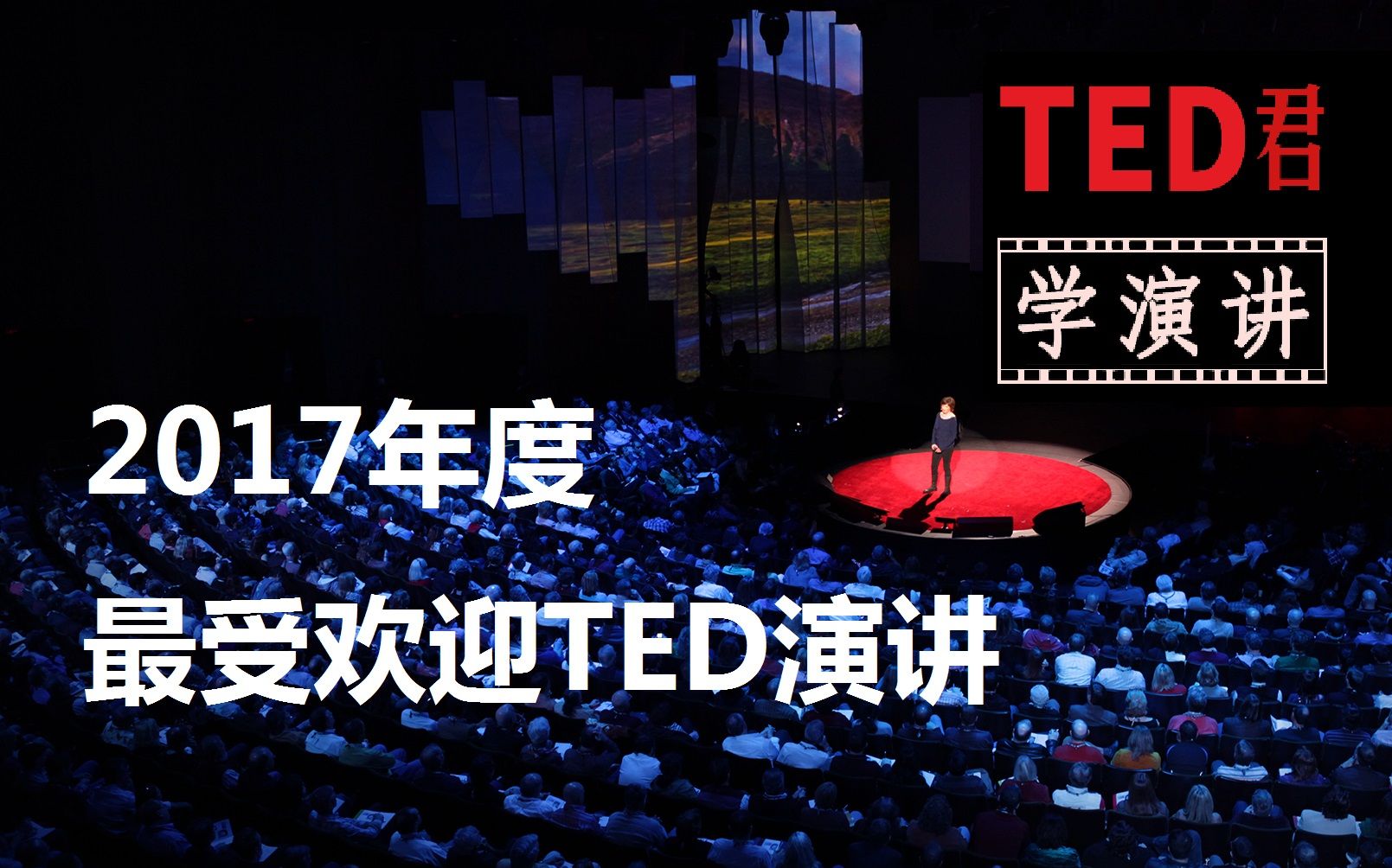 TED-哔哩哔哩频道
