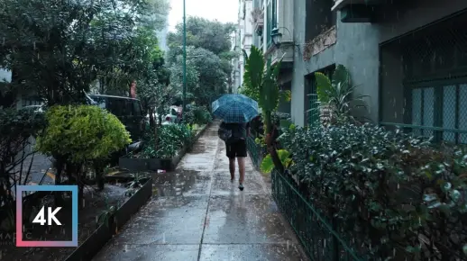 【4K60帧】放松解压：下雨天墨西哥城La Condesa街景漫步 | 作者：Nomadic Ambience_哔哩哔哩_bilibili