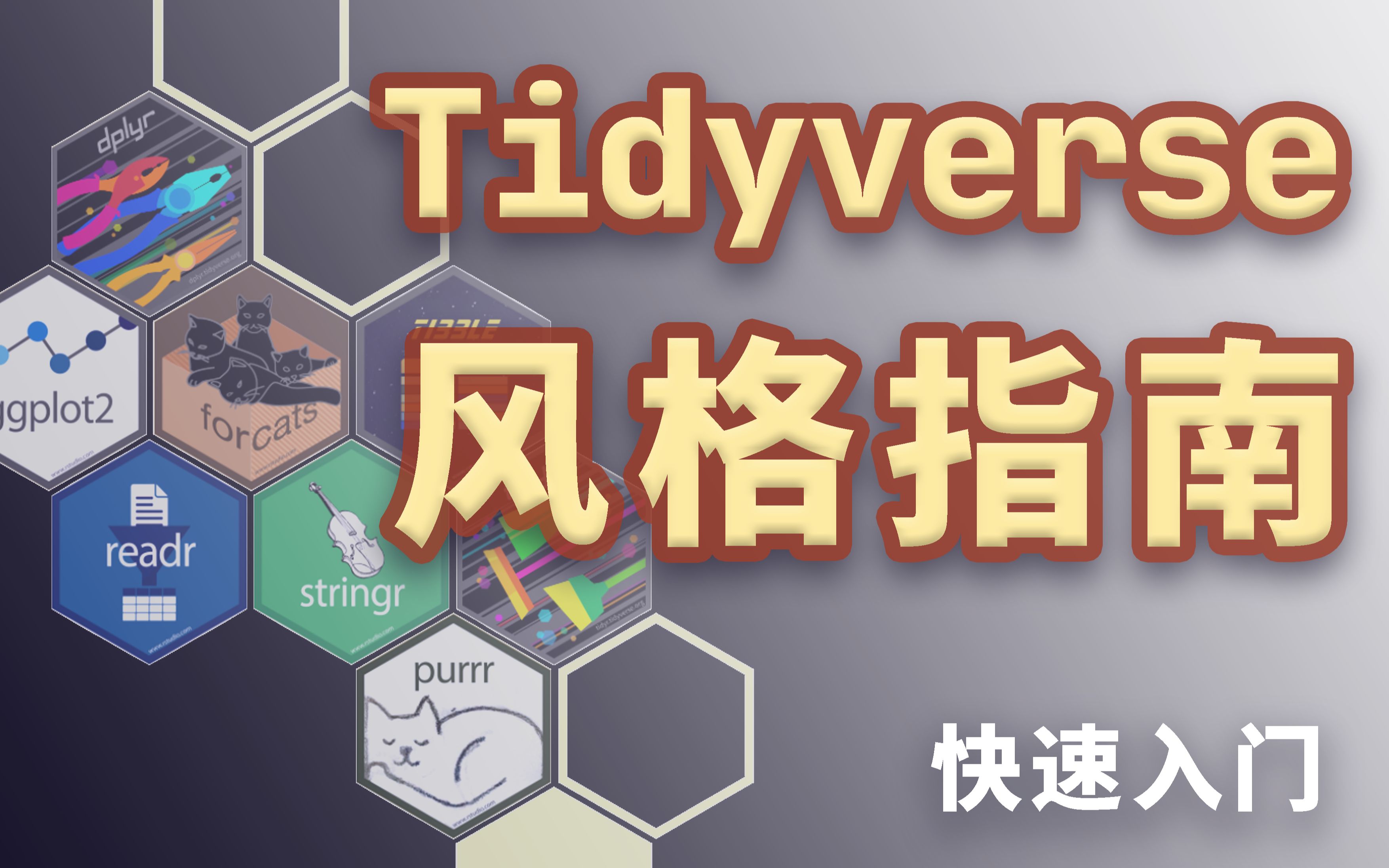 能跑就行吗，不要辜负了Tidyverse风格指南！R语言也能写出高可读性的代码——看看我翻译的R语言风格指南_哔哩哔哩_bilibili