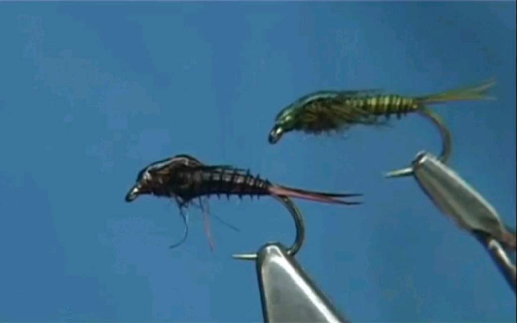 Tying the Mahogany MayFly Nymph by Davie McPhai蜉蝣若虫湿蝇毛钩_哔哩哔哩_bilibili