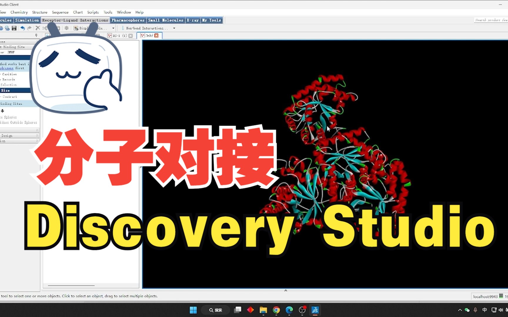 [Discovery Studio]用DS进行简单分子对接，几分钟搞定哦-瓶砸Lue-教程-哔哩哔哩视频