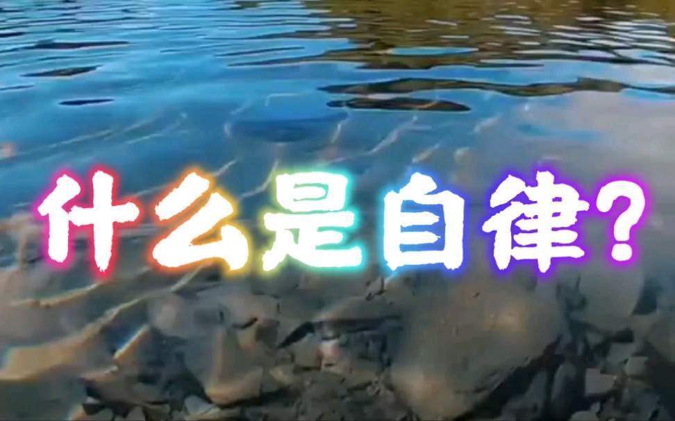什么是自律？ 哔哩哔哩