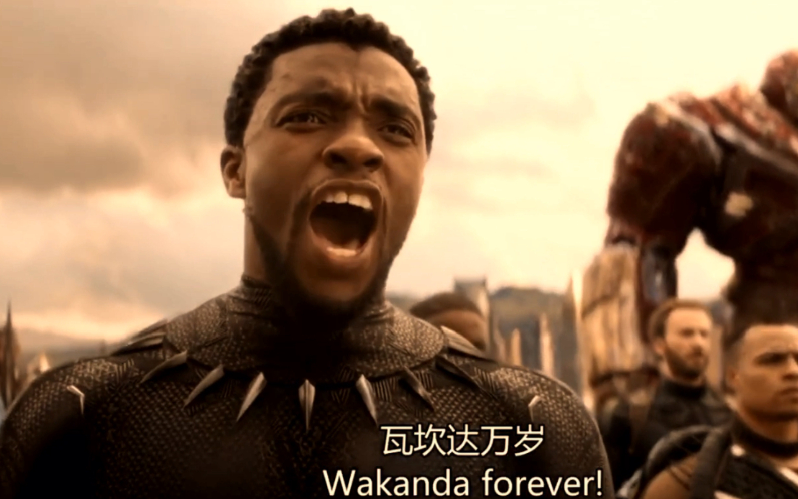 Wakanda forever_哔哩哔哩_bilibili