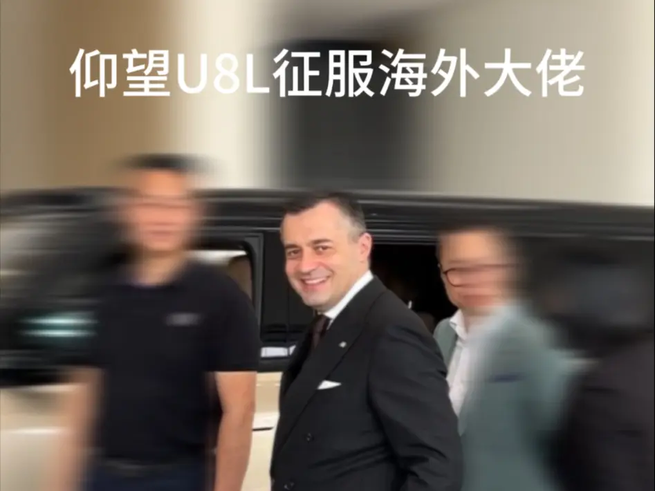 海外大佬组团进店点名要看仰望U8L_哔哩哔哩_bilibili