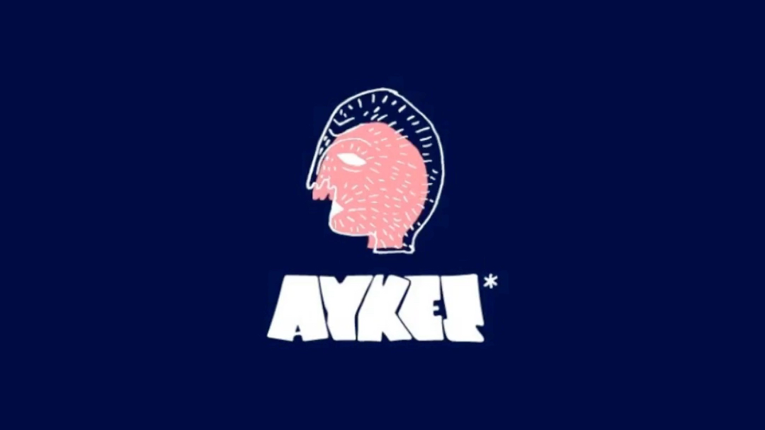 AYKES_哔哩哔哩_bilibili