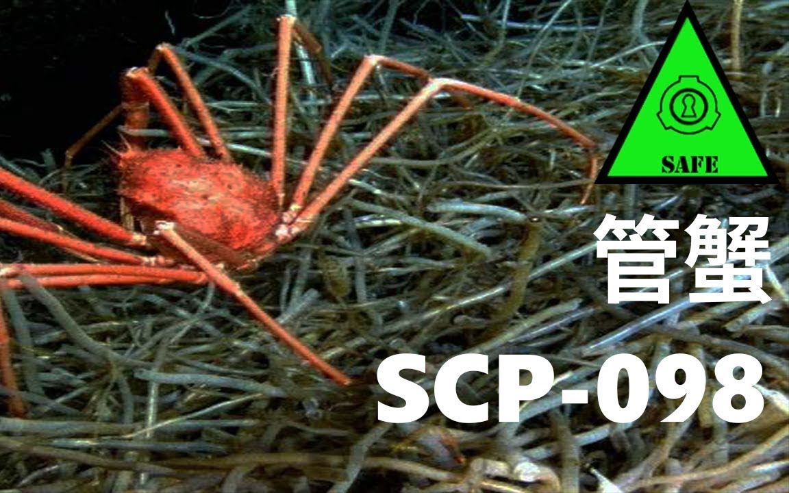 【SCP基金會】SCP-098 - 管蟹_哔哩哔哩 (゜-゜)つロ 干杯~-bilibili
