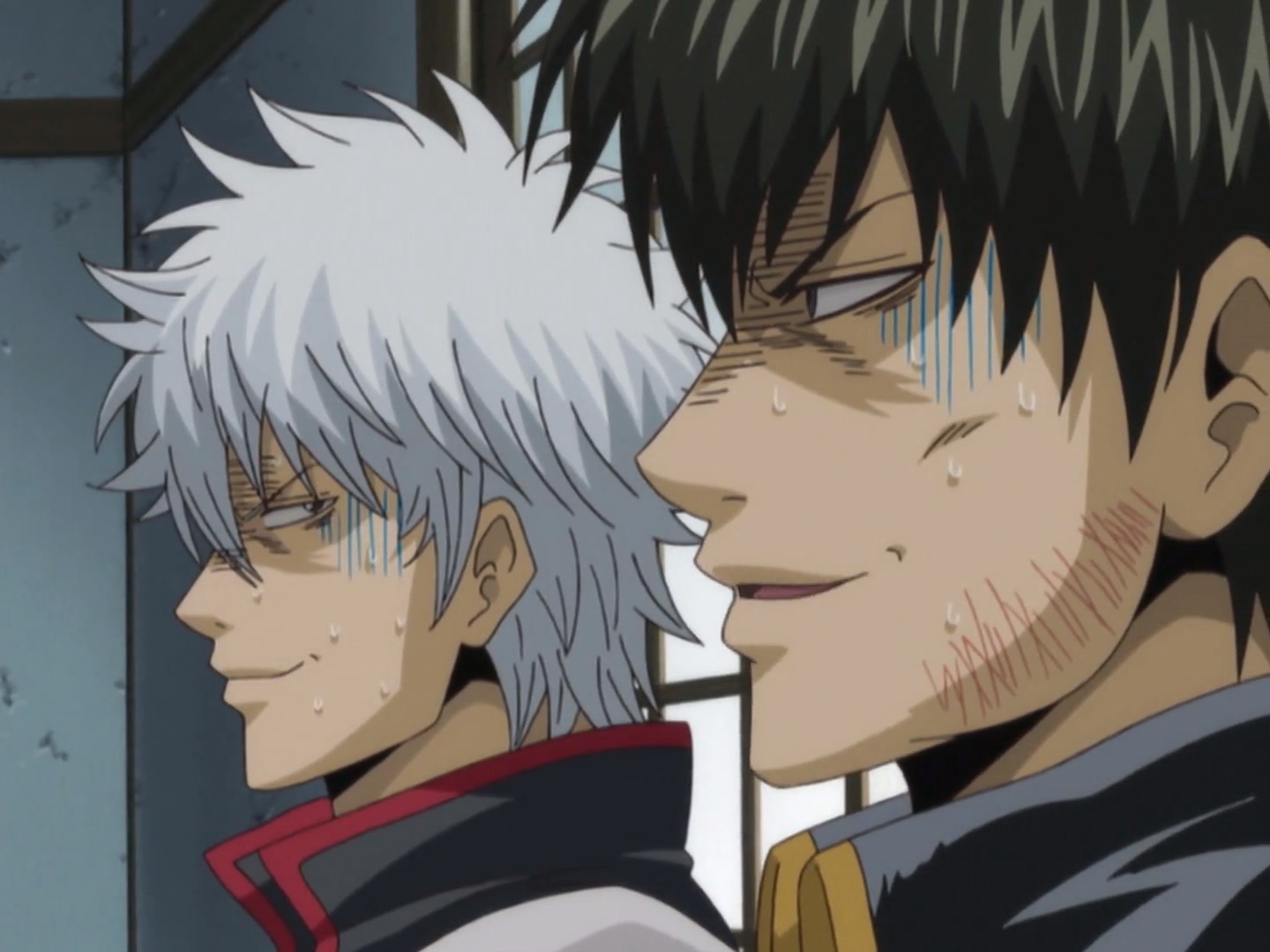 银魂第175集-番剧-全集-高清正版在线观看-bilibili-哔哩哔哩