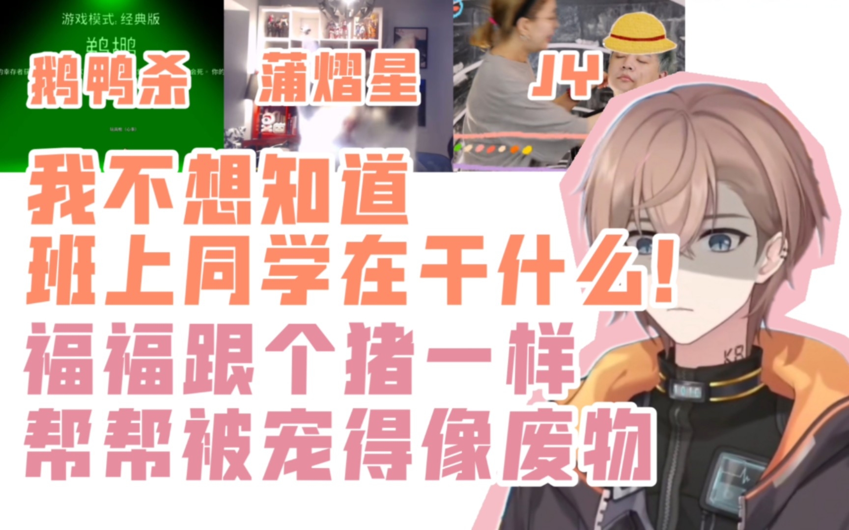 【KB呆又呆】看视频刷到熟人；嫌弃自家猫猫不聪明-西禾土猫-西禾土猫-哔哩哔哩视频