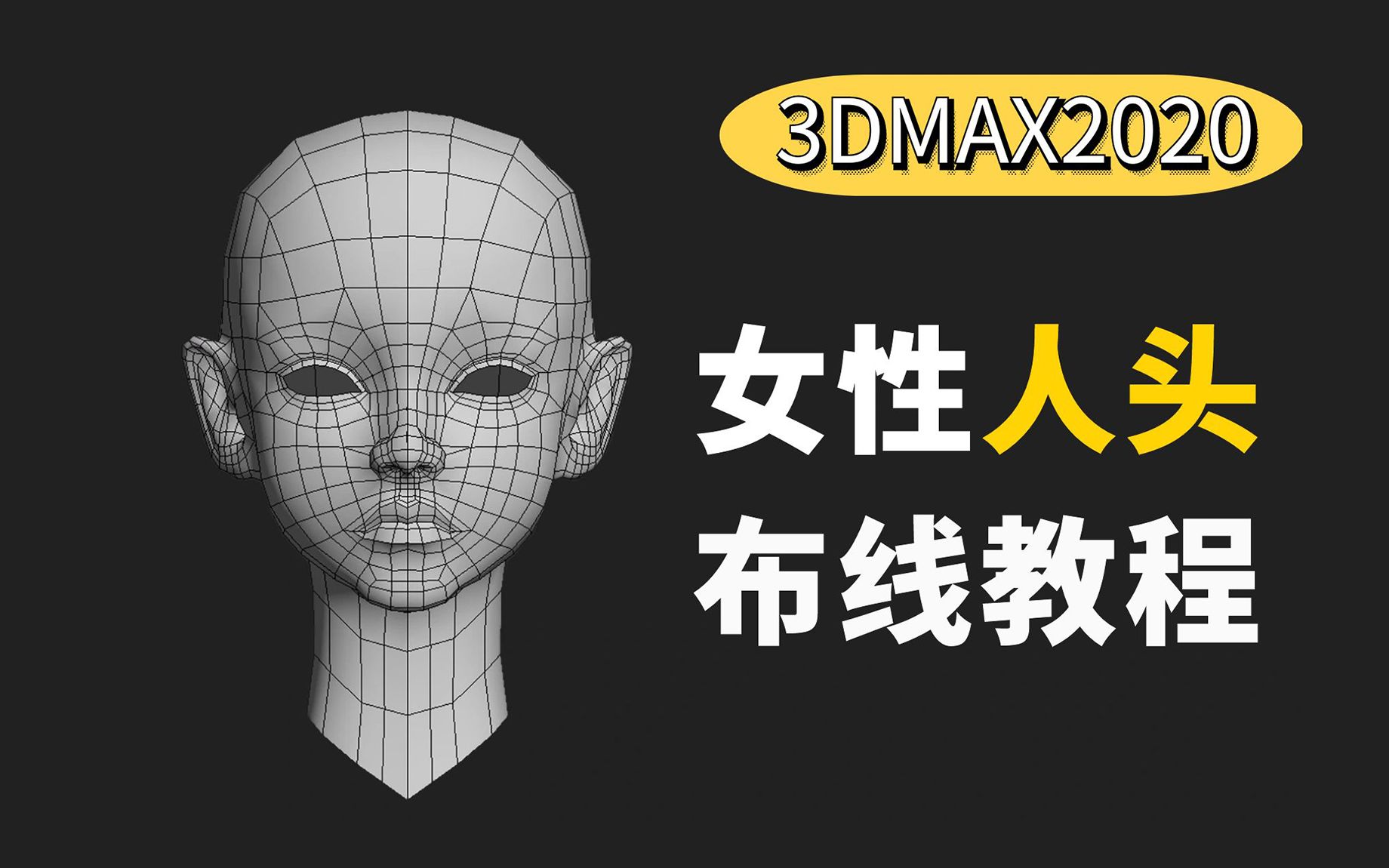 【3dmax建模】女性头部结构建模，人头五官基础布线技巧规范详解 - 哔哩哔哩