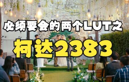 达芬奇调色｜简单粗暴的告诉你Kodak 2383怎么用【上集】 - 哔哩哔哩