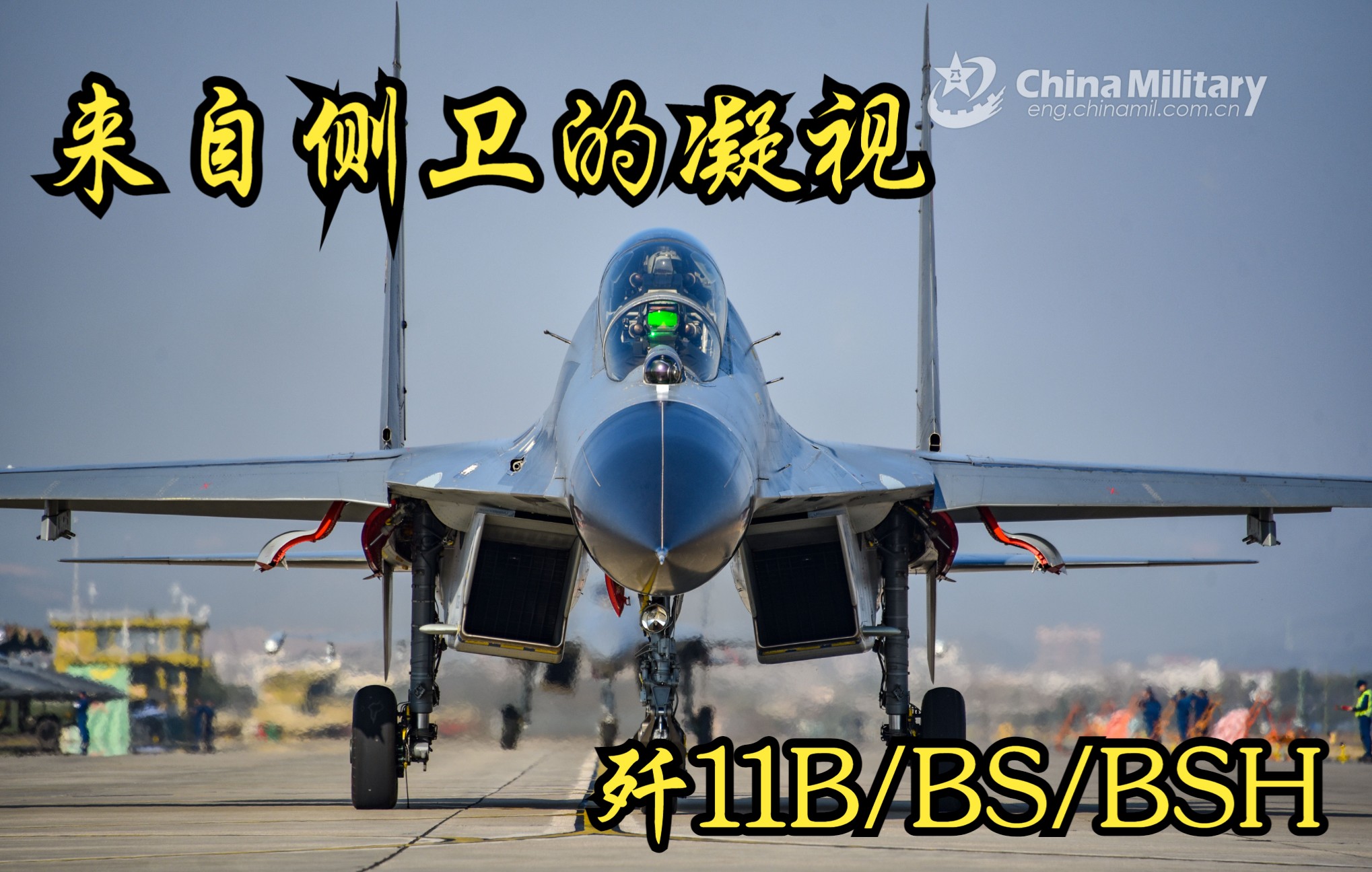 【4K】歼11B/BS/BSH对地对海攻击_哔哩哔哩_bilibili